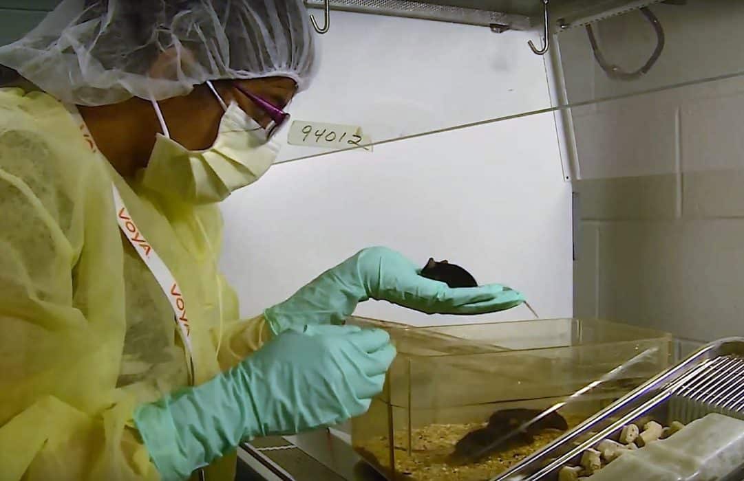 Animals in Biomedical Research: A Vital Scientific Resource