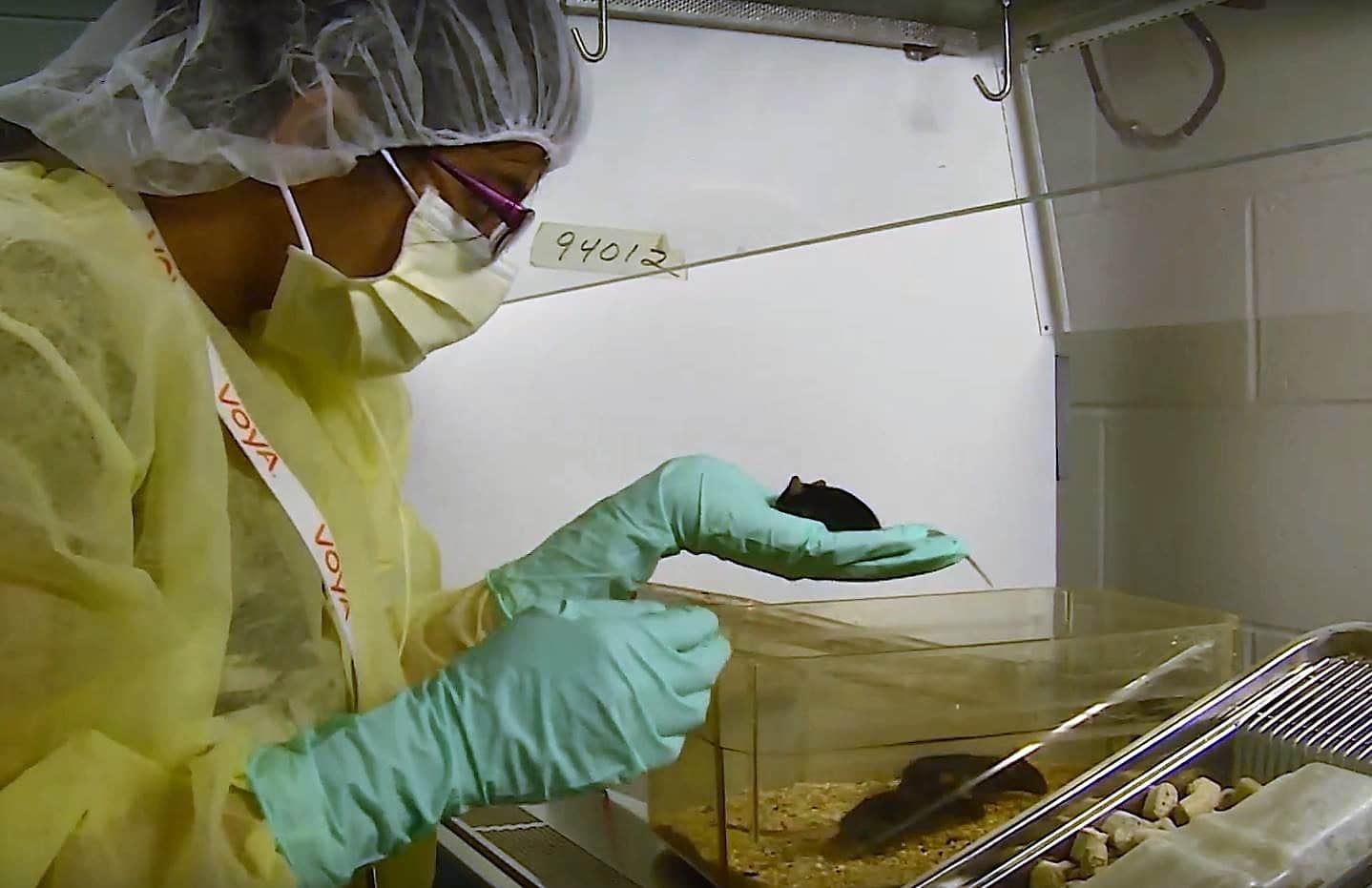 Animals in Biomedical Research: A Vital Scientific Resource