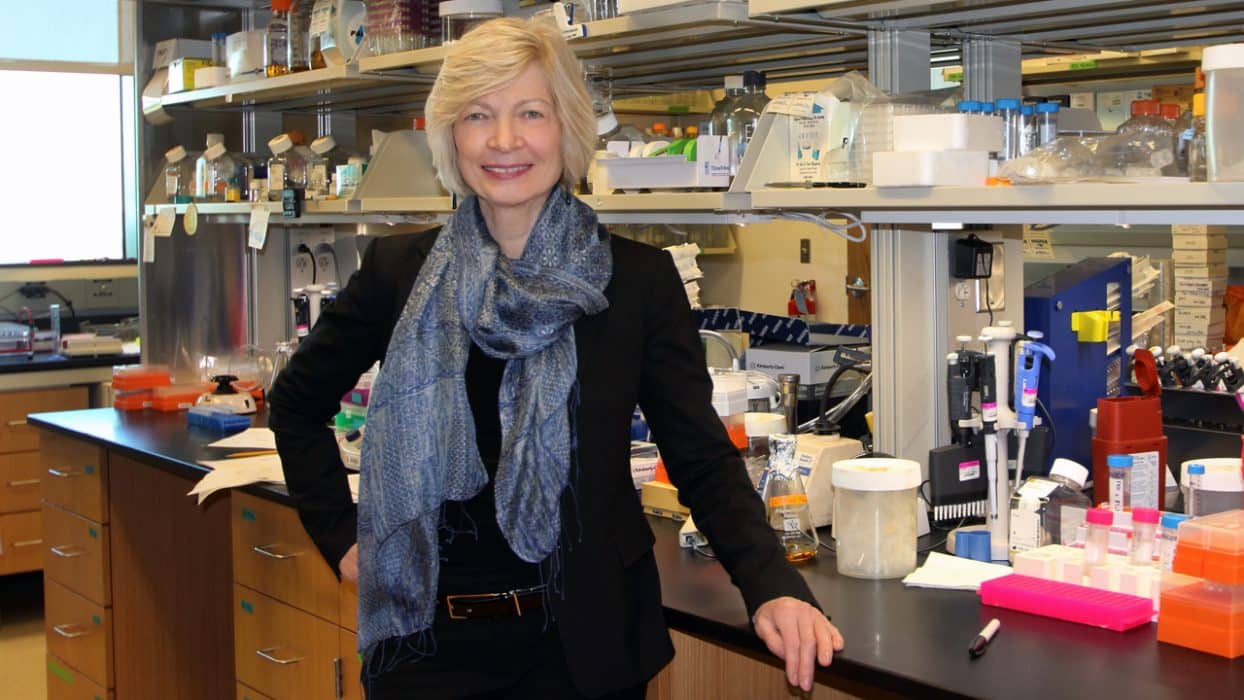 Research Shows a Promising New Class of Antibodies - Texas Biomed