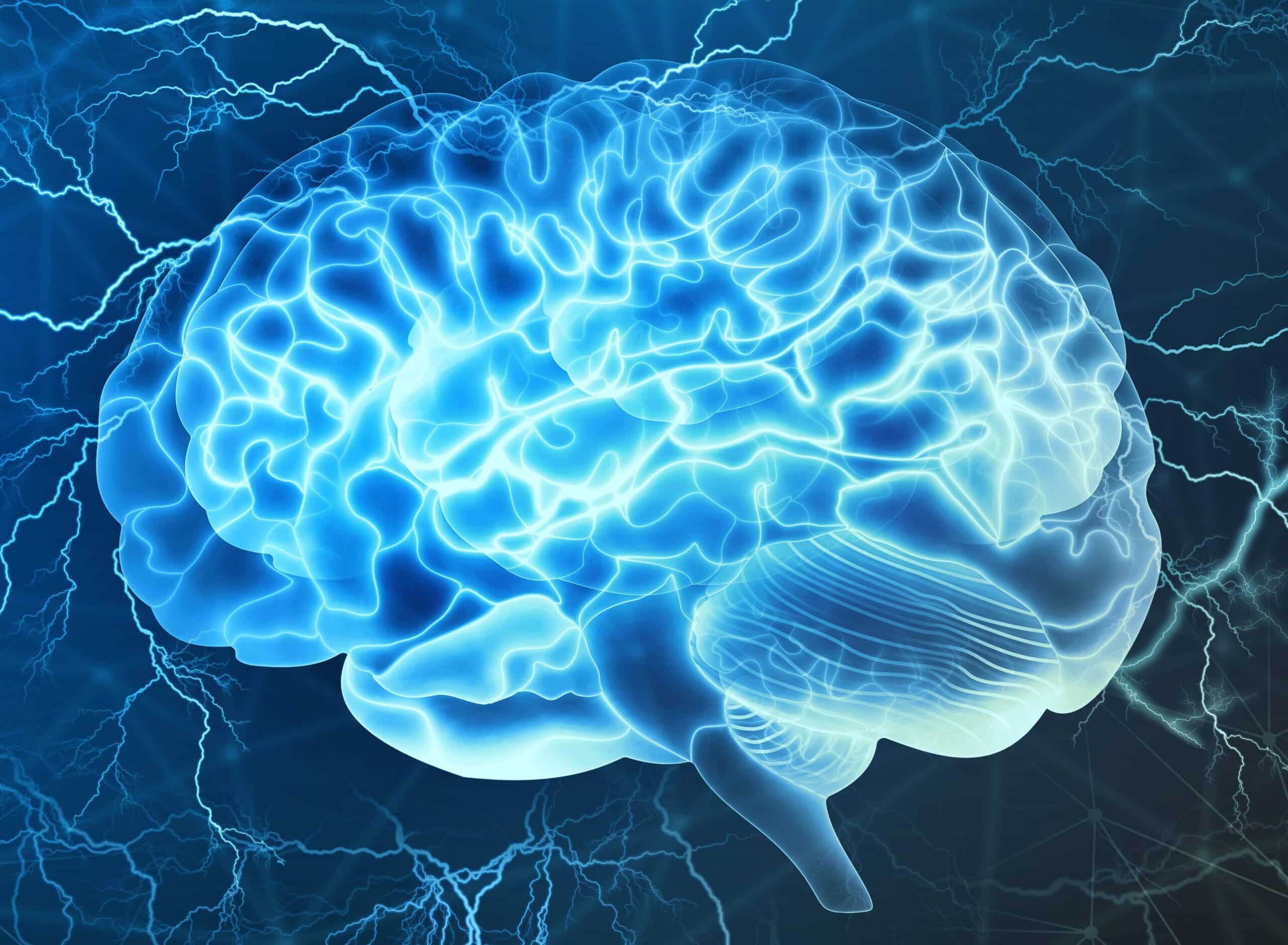 Peering into Baboon Brains to Help with Mental Illness